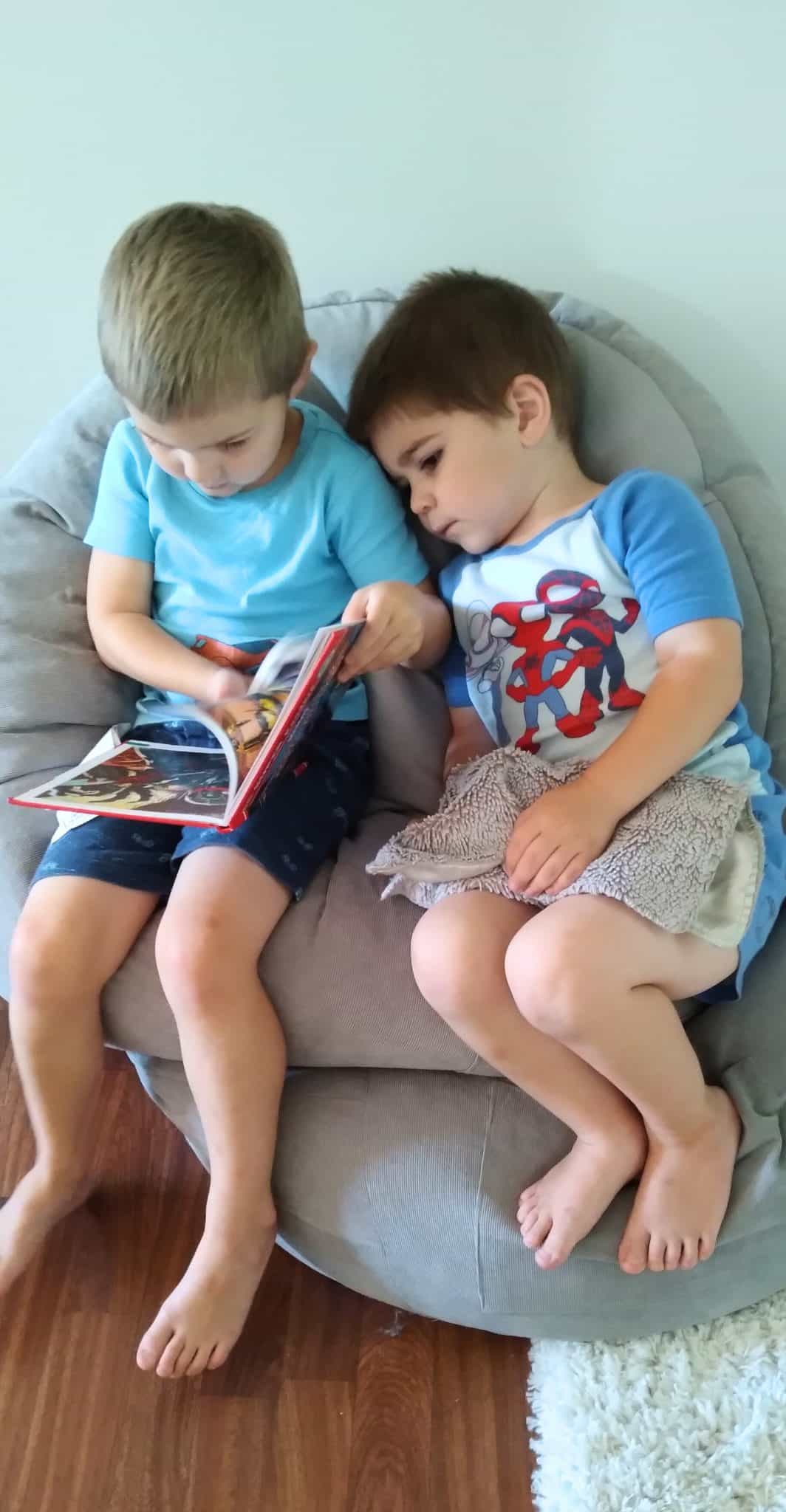 My Sons' Favorite Read Alouds for Little Boys - Growing Confident